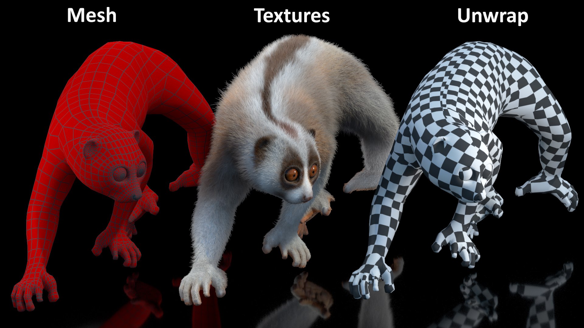 3D Model Philippine Slow Loris Fur - TurboSquid 2144585