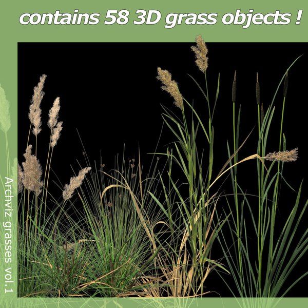 c4d grass dune grass1