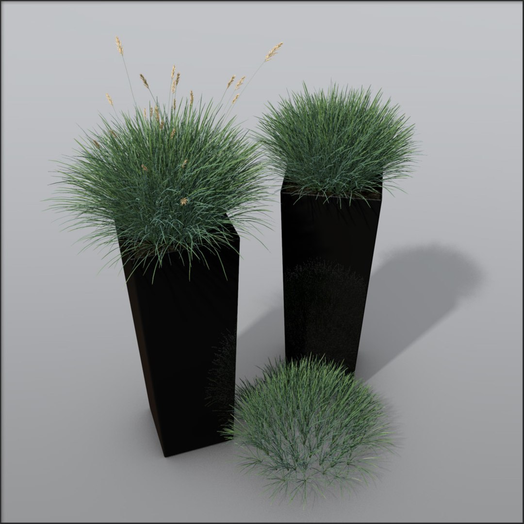 grasses exterior architectural 3d model