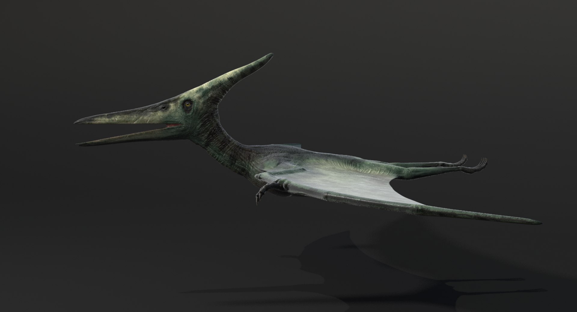 3d Pteranodon Zbrush Model
