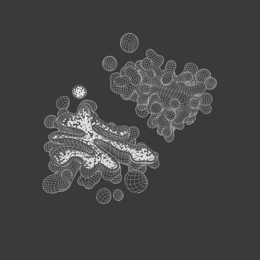3d Model Golgi Apparatus