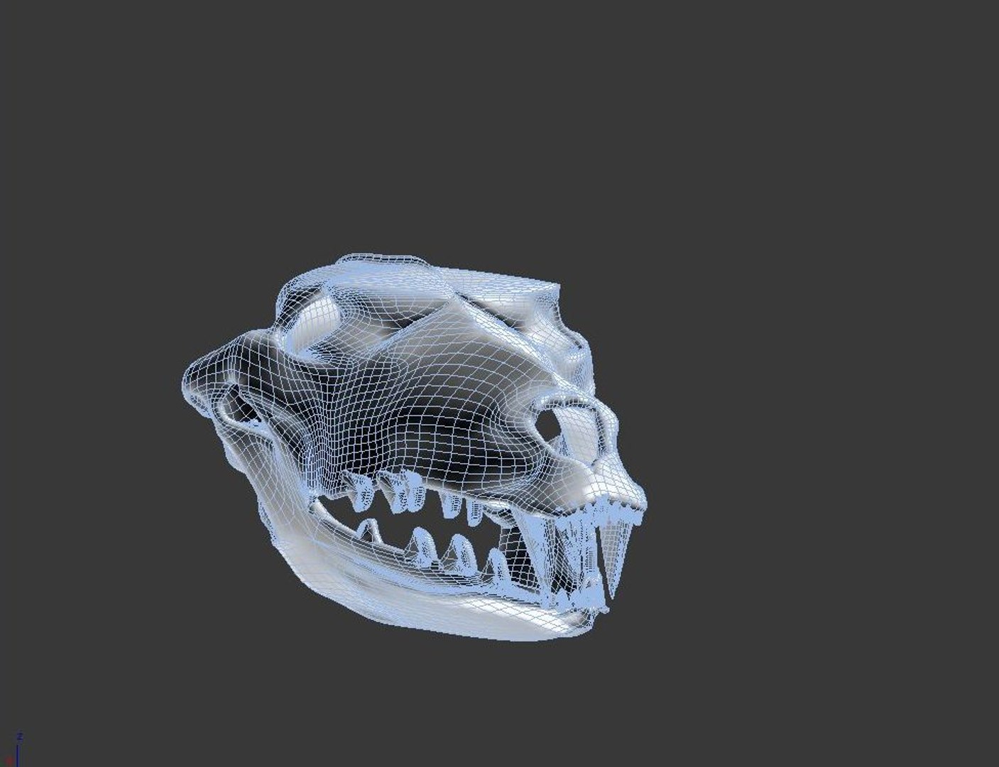 3d Wolf Head Skeleton