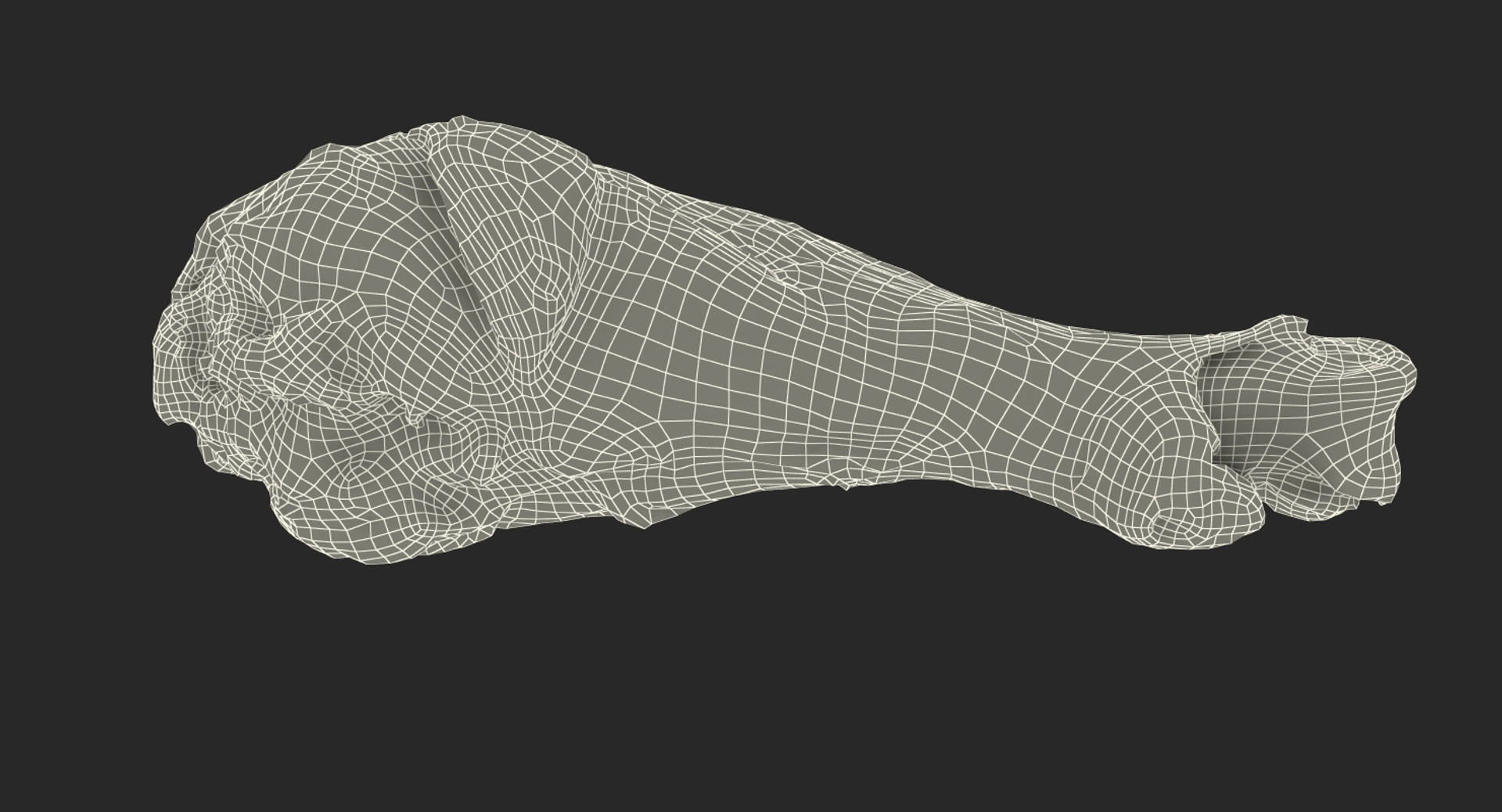 Roasted Turkey Leg 3D Model - TurboSquid 1214078