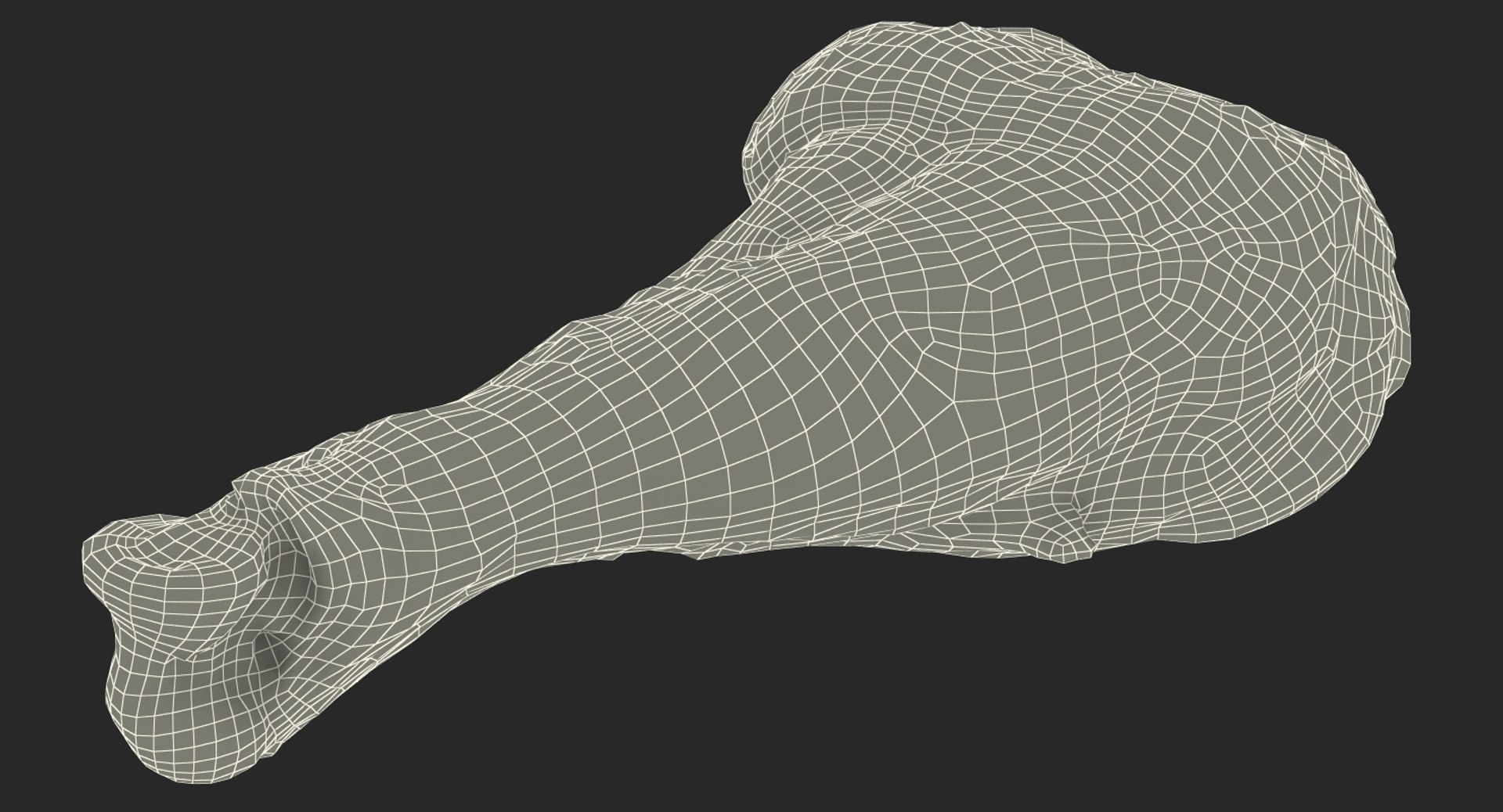 Roasted Turkey Leg 3D Model - TurboSquid 1214078