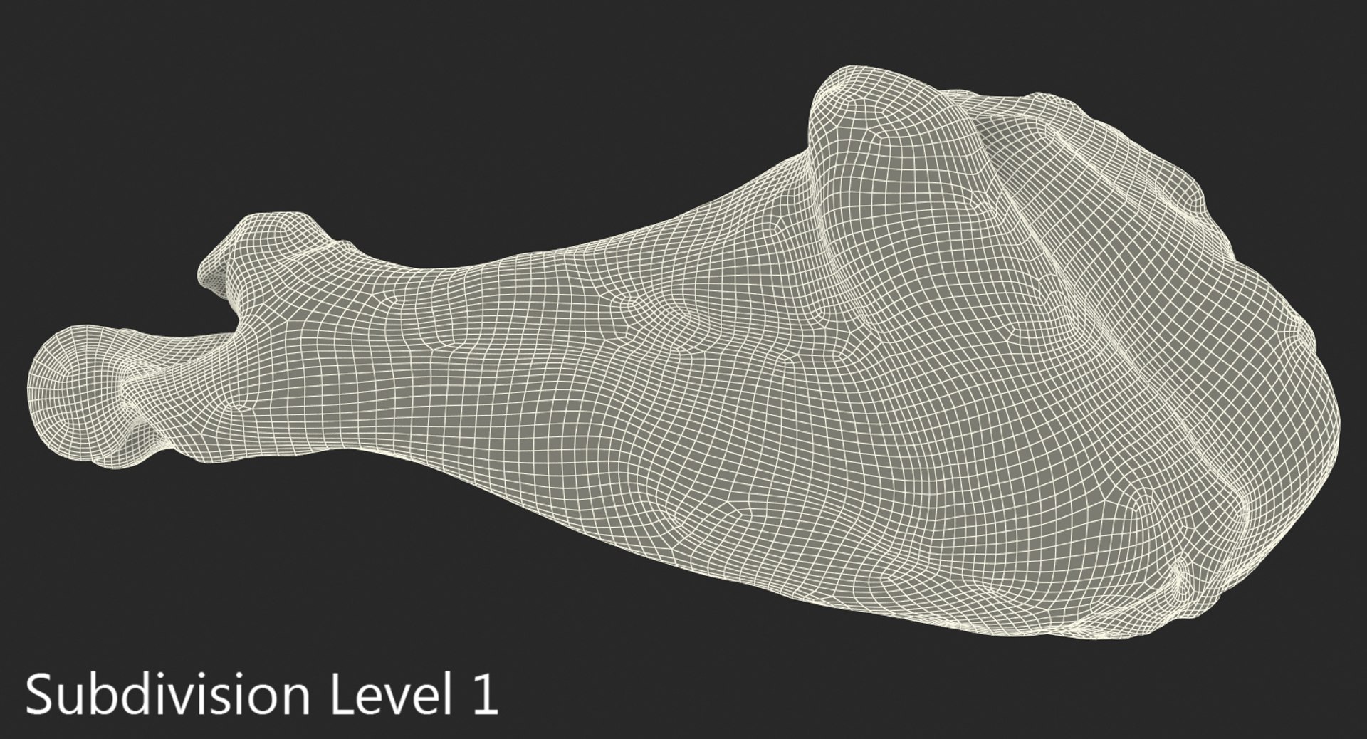 Roasted Turkey Leg 3D Model - TurboSquid 1214078