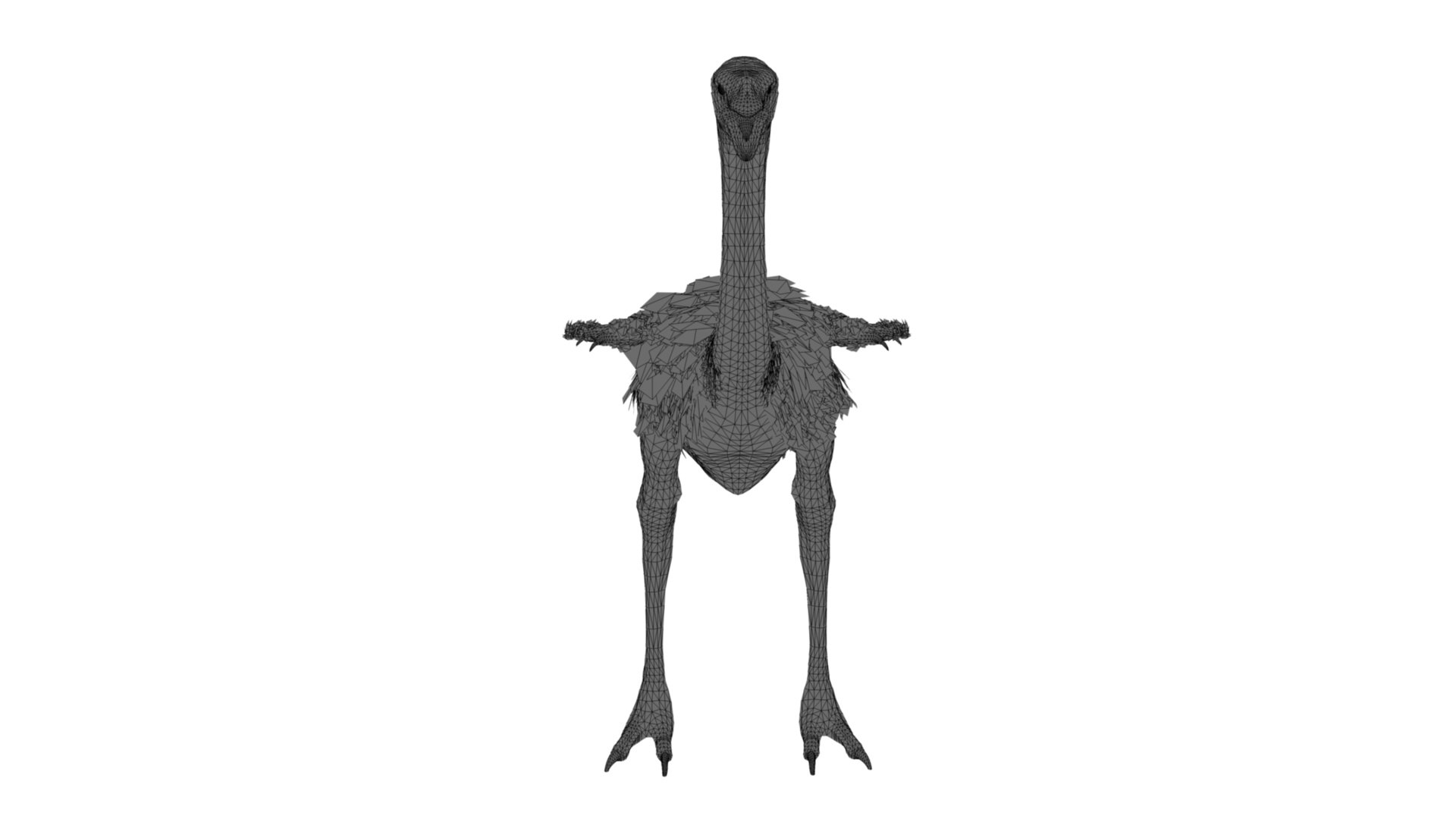 Ostrich 3D - TurboSquid 2275692