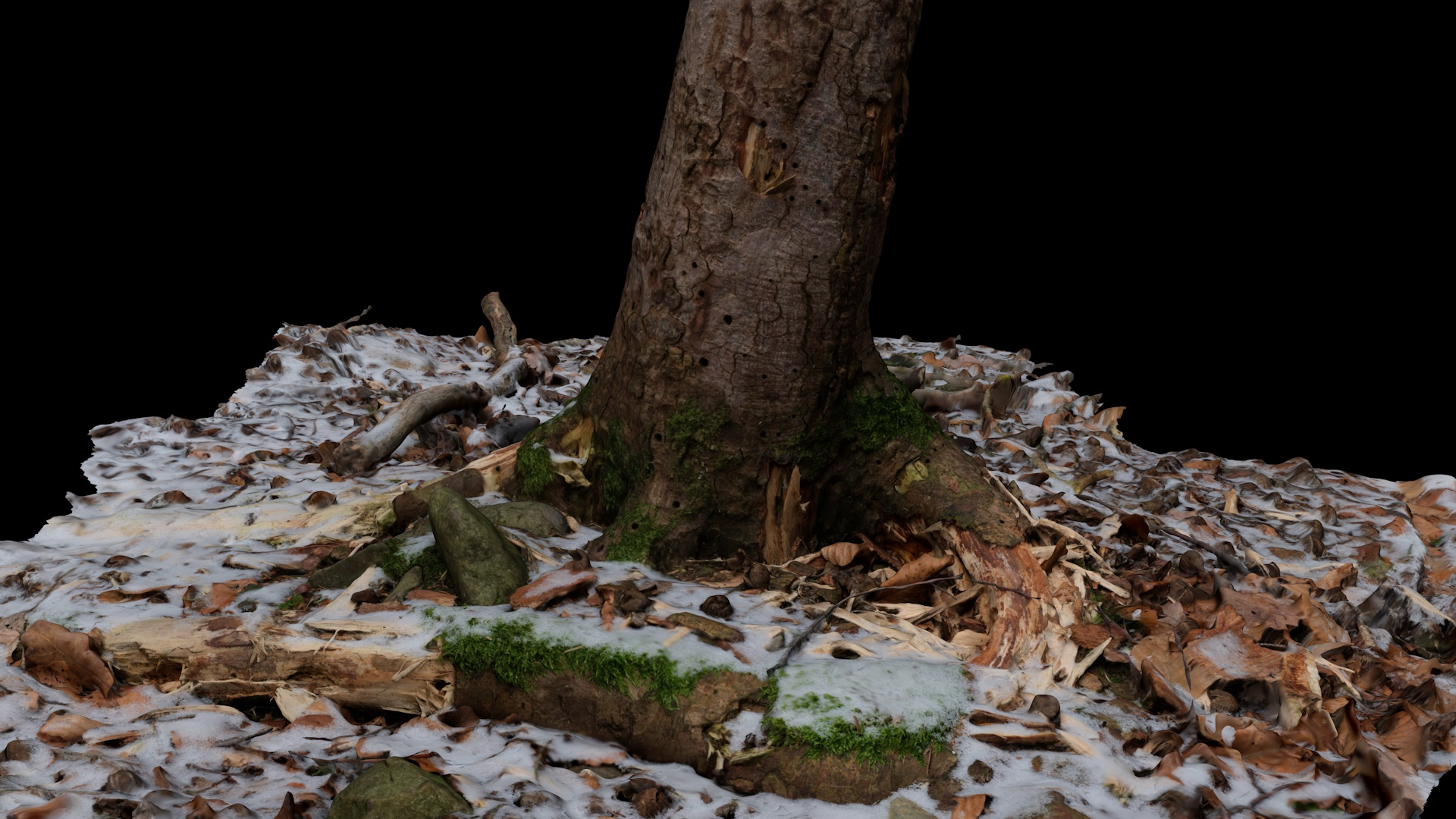 3D Swiss Winter Tree 003 And 007 - TurboSquid 2178152