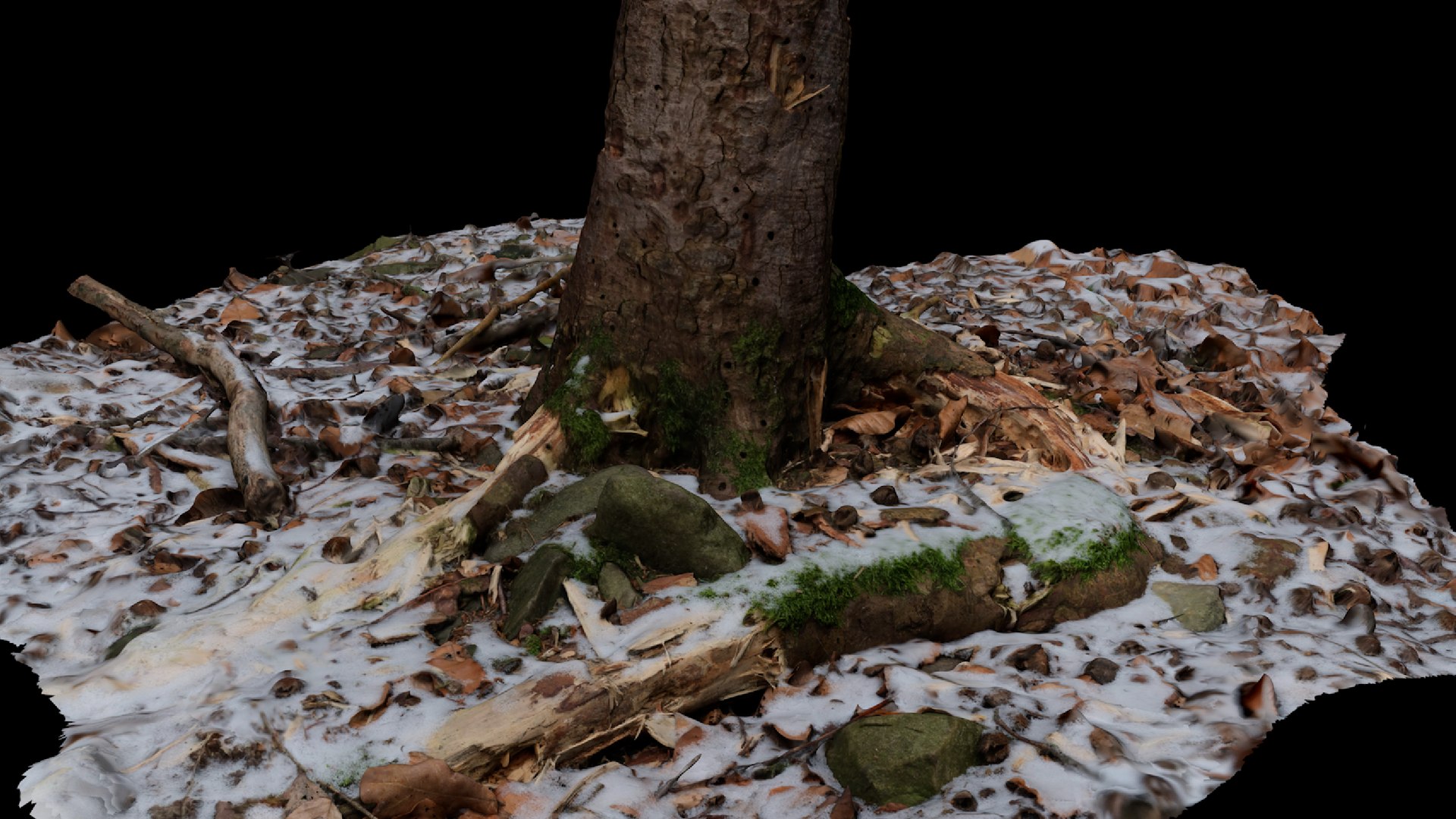 3D Swiss Winter Tree 003 And 007 - TurboSquid 2178152