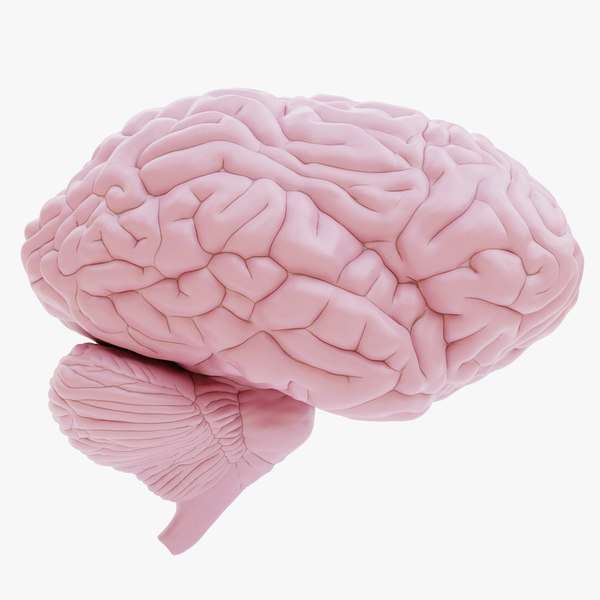 3D model gender neutral rigged human - TurboSquid 1272074