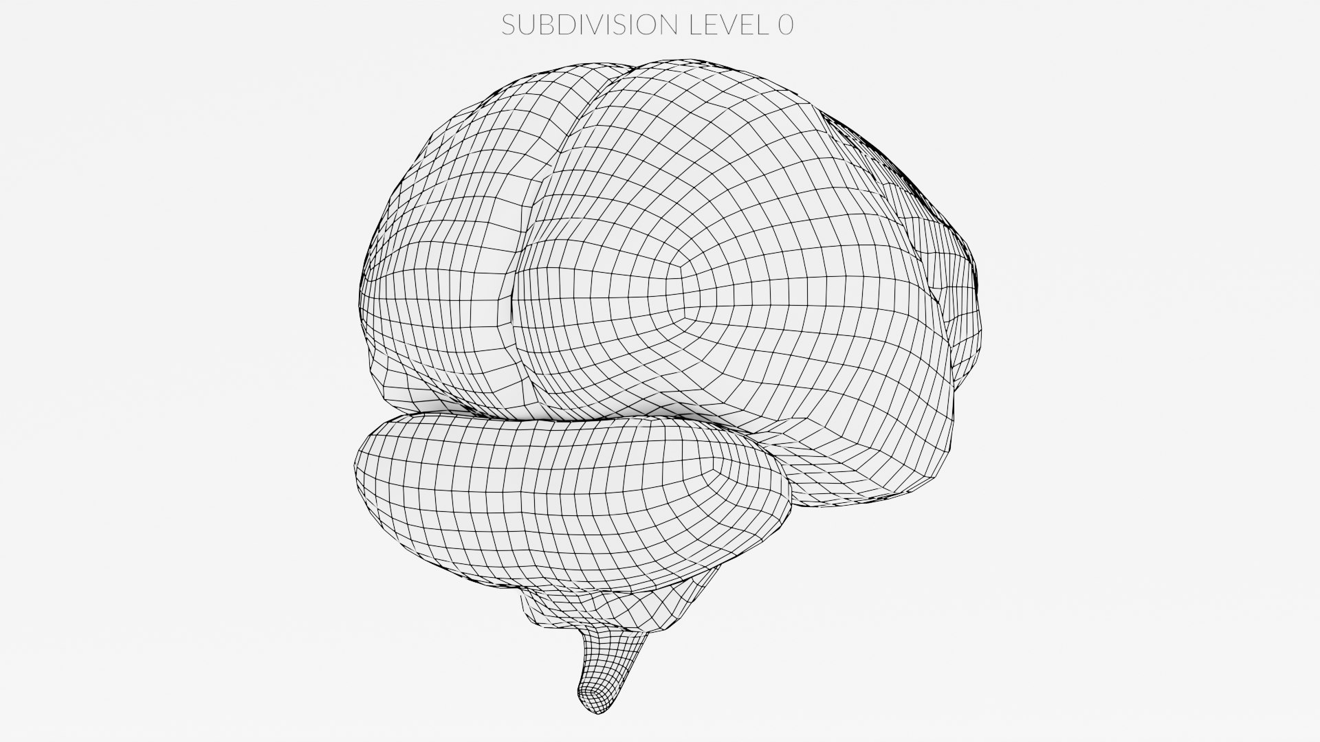 Plastic Brain Model - TurboSquid 2023025
