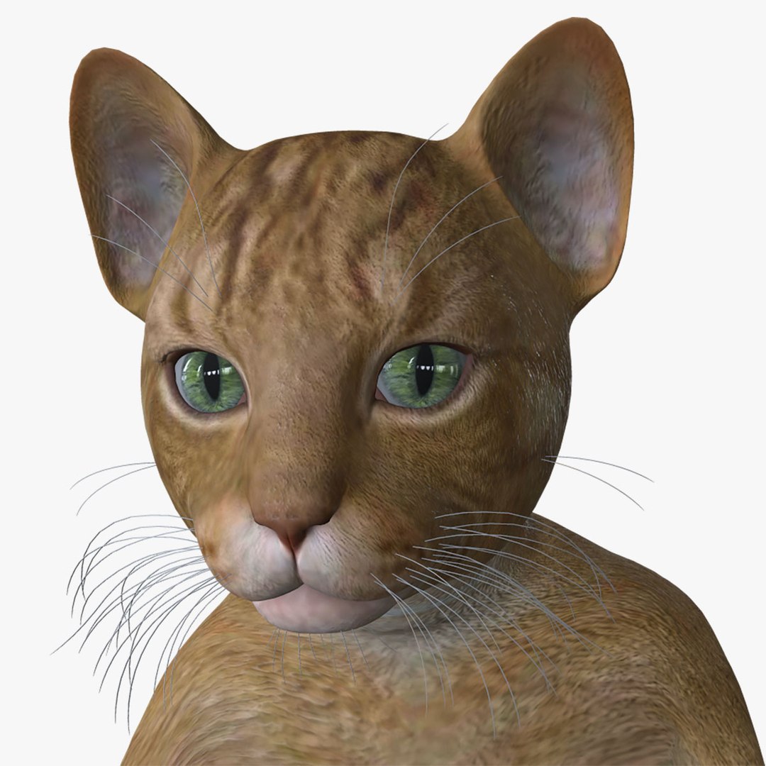 3D PIB-003 Running Animation - TurboSquid 2027676