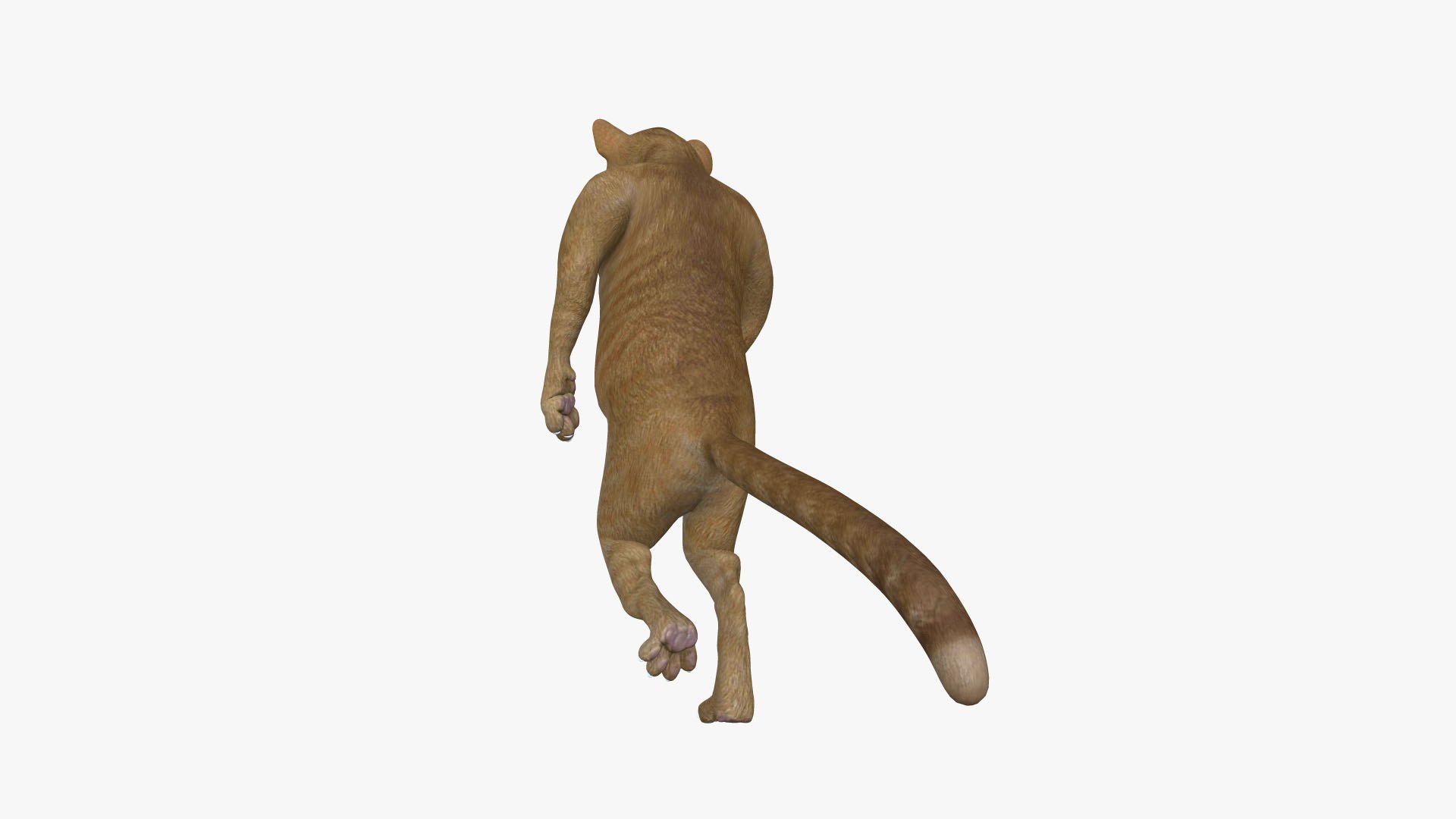 3D PIB-003 Running Animation - TurboSquid 2027676