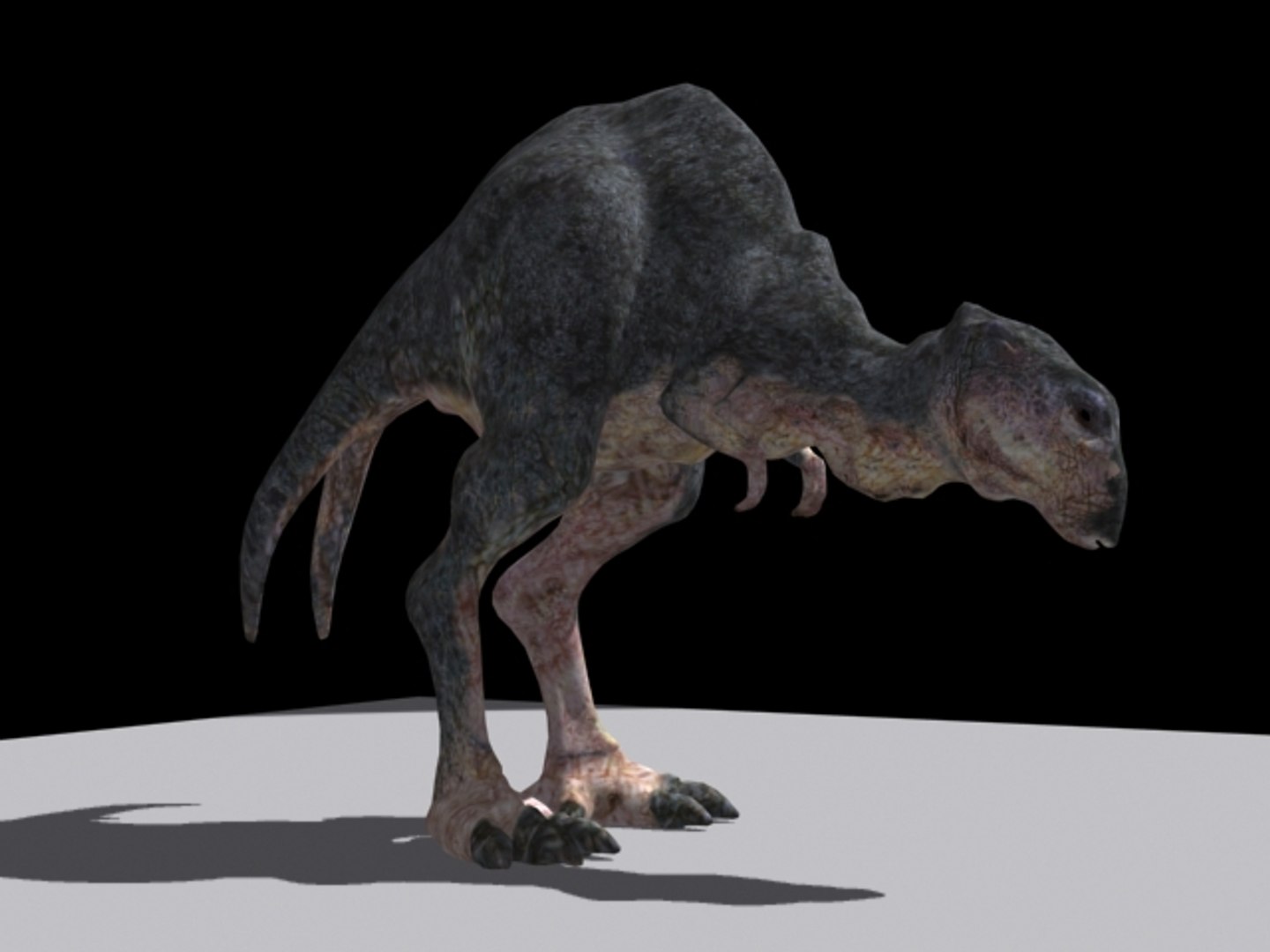d dino obj