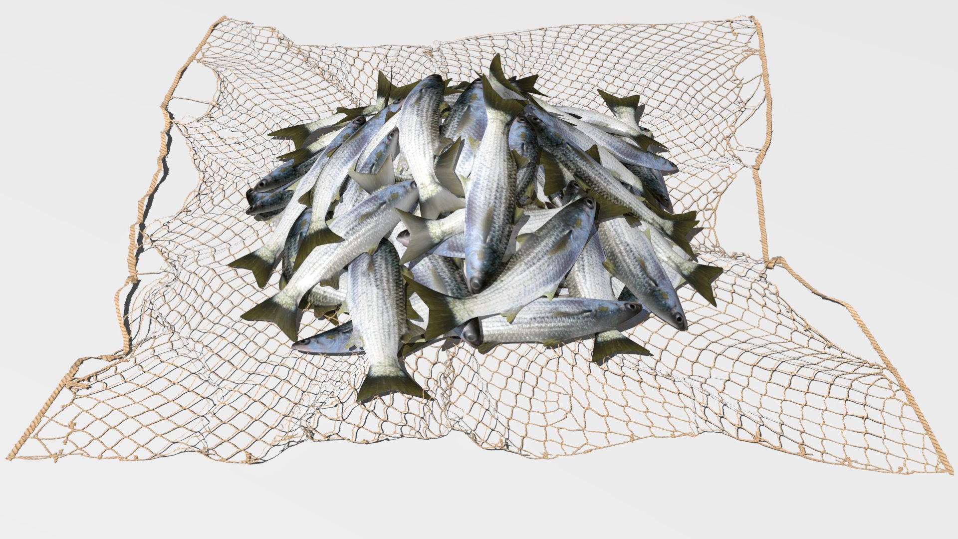 3D Fishing net - TurboSquid 1976760