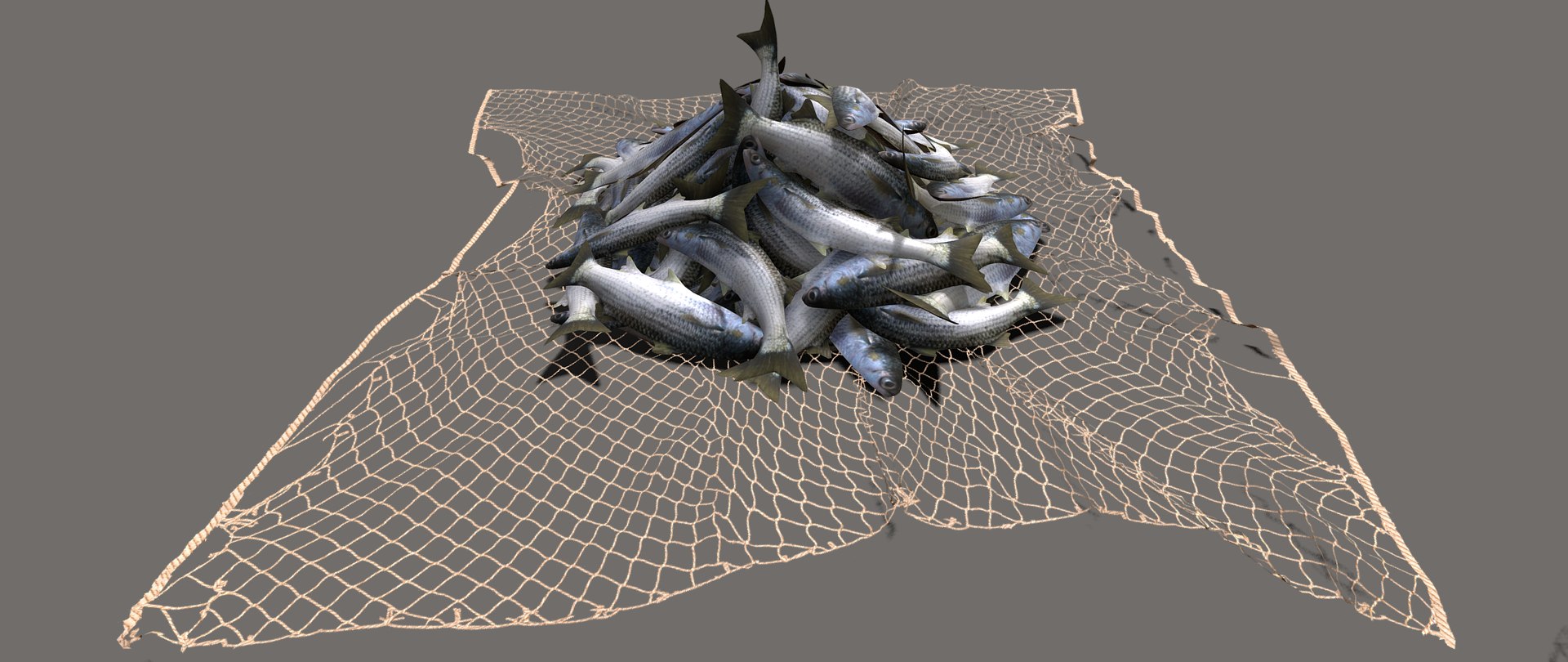 3D Fishing Net - TurboSquid 1976760