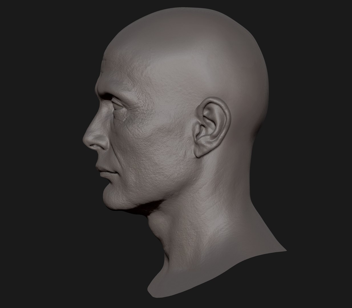 Mads Mikkelsen Likeness Sculpt 3D Model 3D Model - TurboSquid 2400778