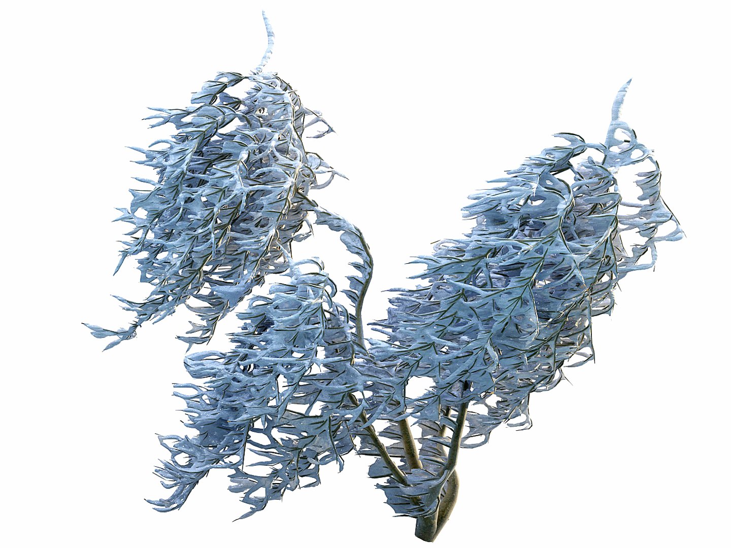 Frozen Tree Hd Max