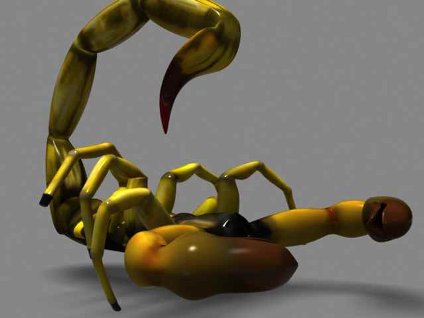 Maya Scorpion