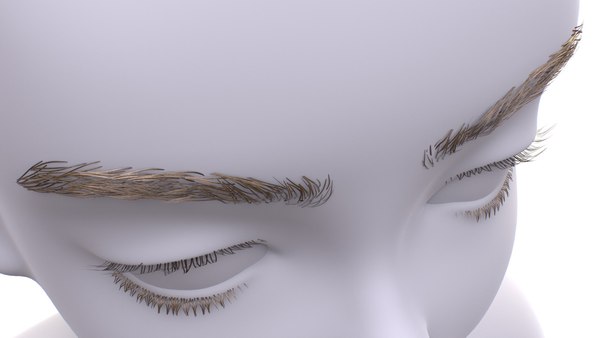 소년의 눈썹과 속눈썹 3D 모델 - TurboSquid 1912747