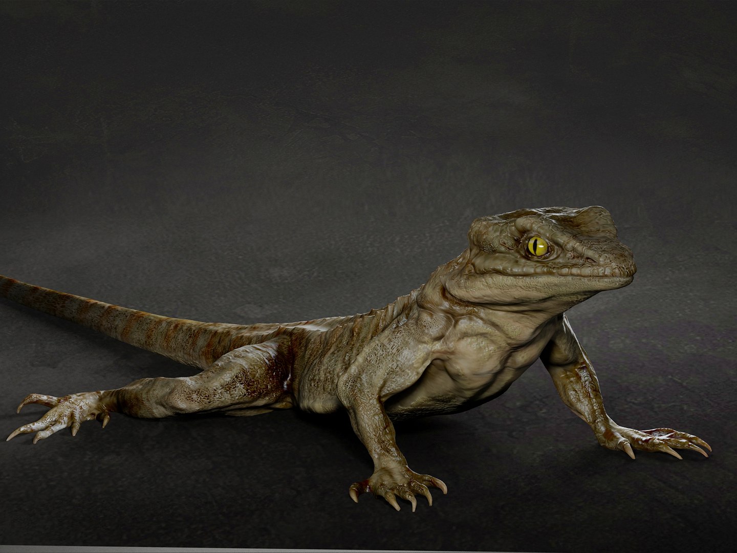 Lizard 3D Model - TurboSquid 1895880