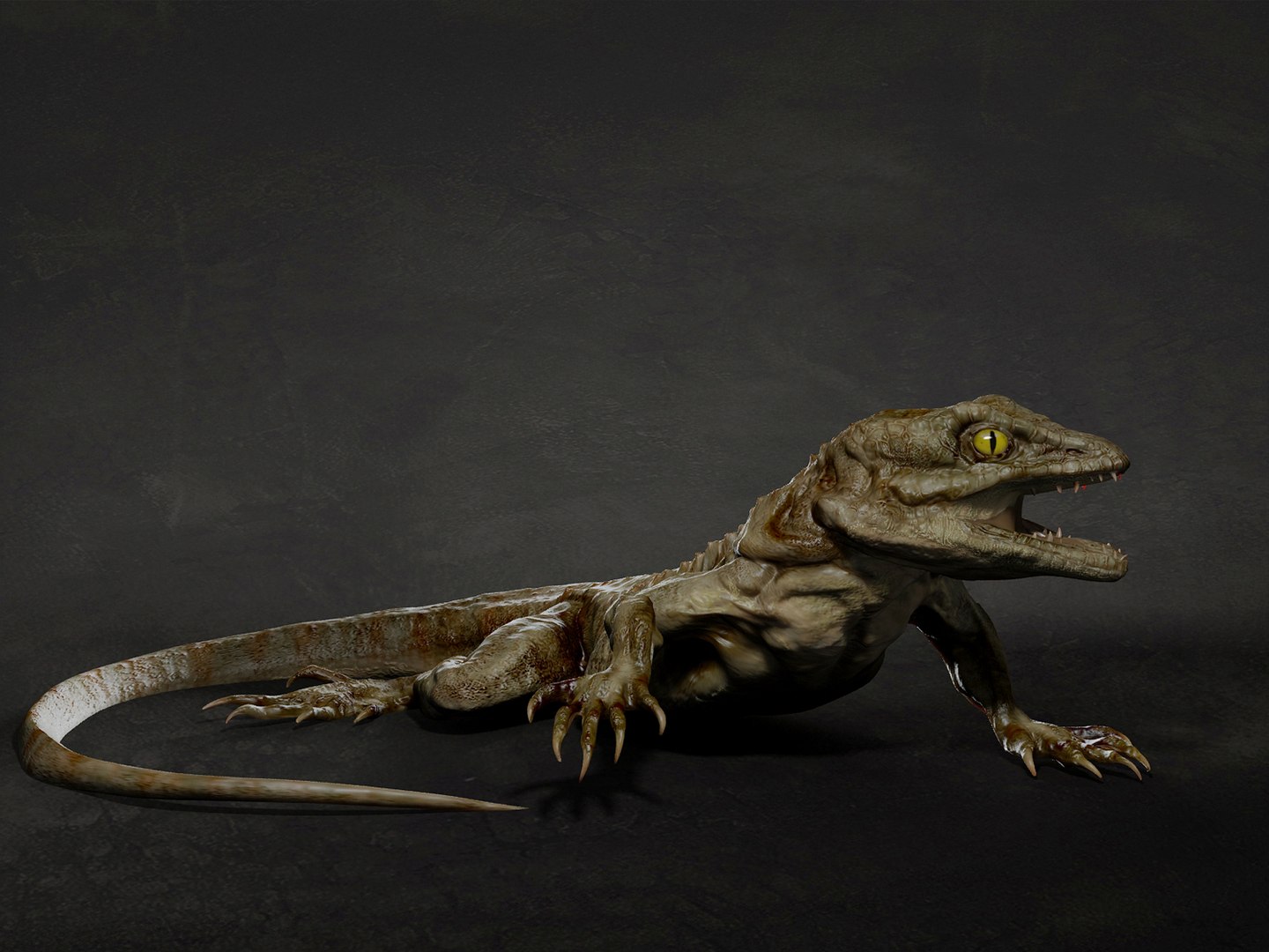 Lizard 3D Model - TurboSquid 1895880