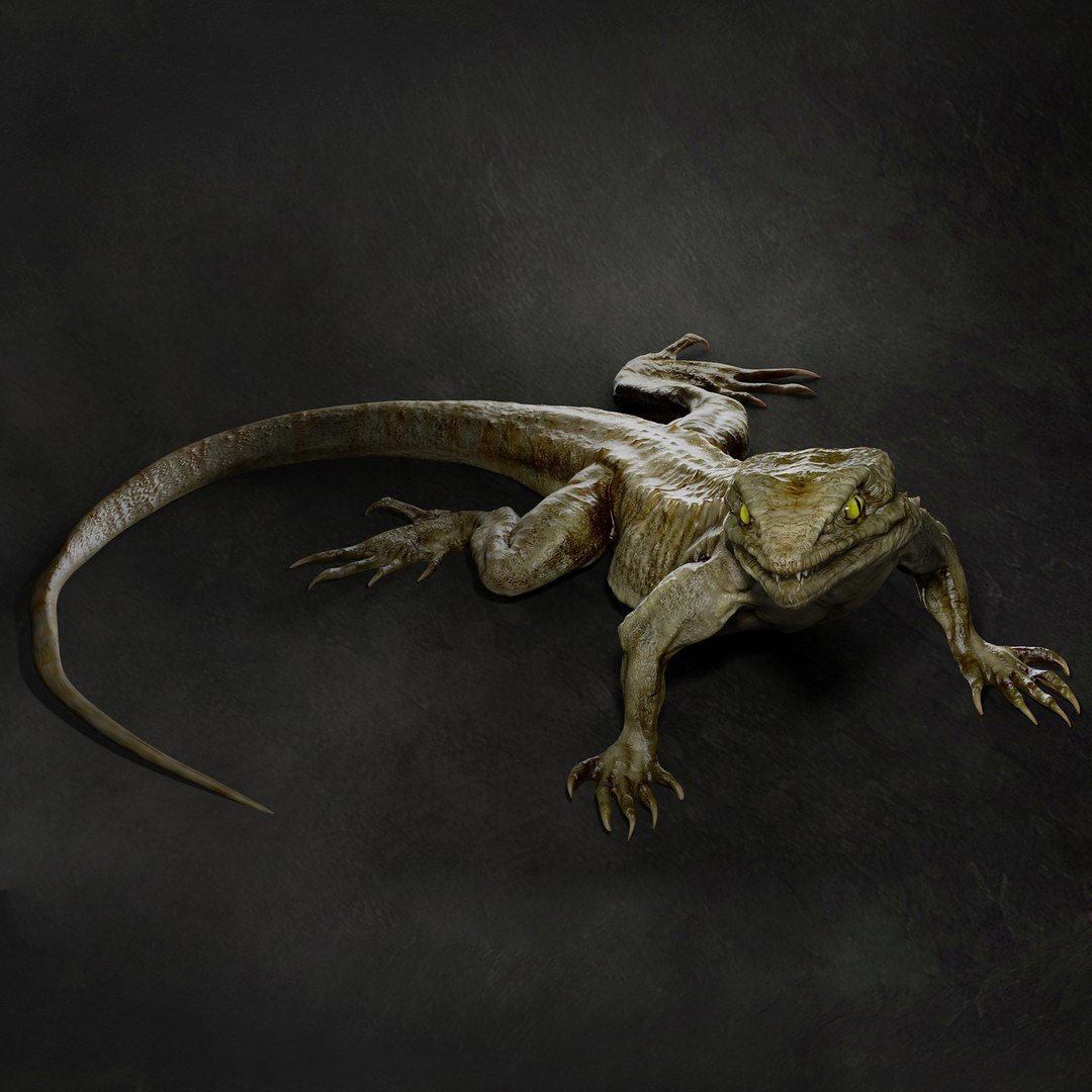 Lizard 3D Model - TurboSquid 1895880