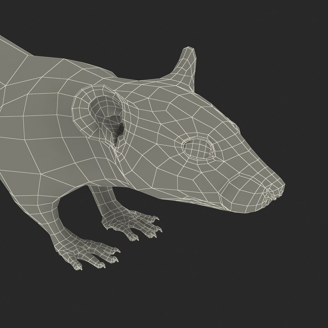 rat 3 3d max