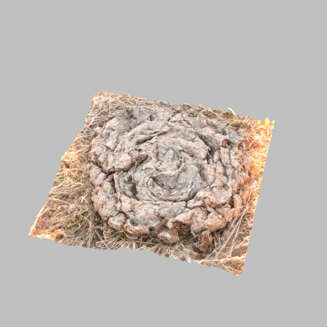 Poop Poo Cow 3D Model - TurboSquid 1371739