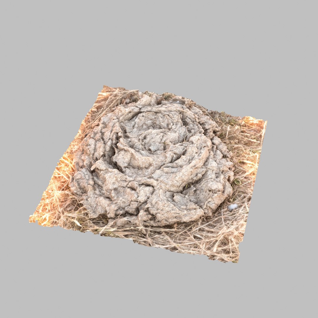 Poop Poo Cow 3D Model - TurboSquid 1371739