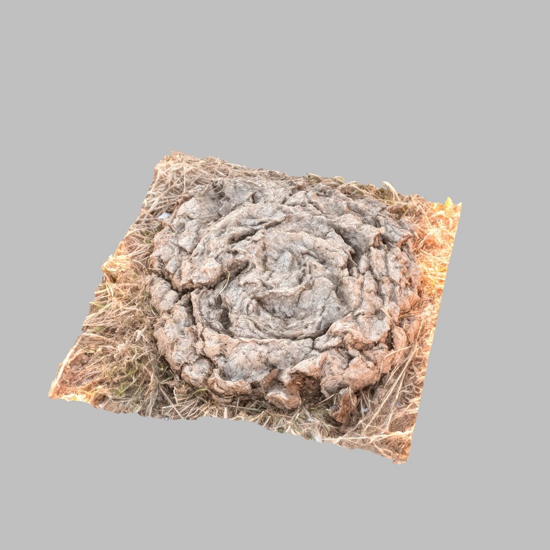 Poop Poo Cow 3D Model - TurboSquid 1371739