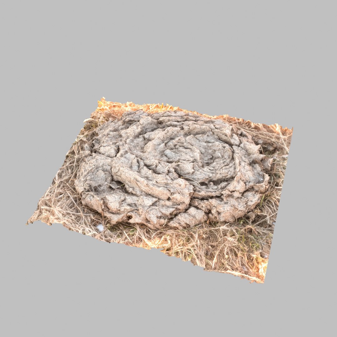 Poop Poo Cow 3D Model - TurboSquid 1371739