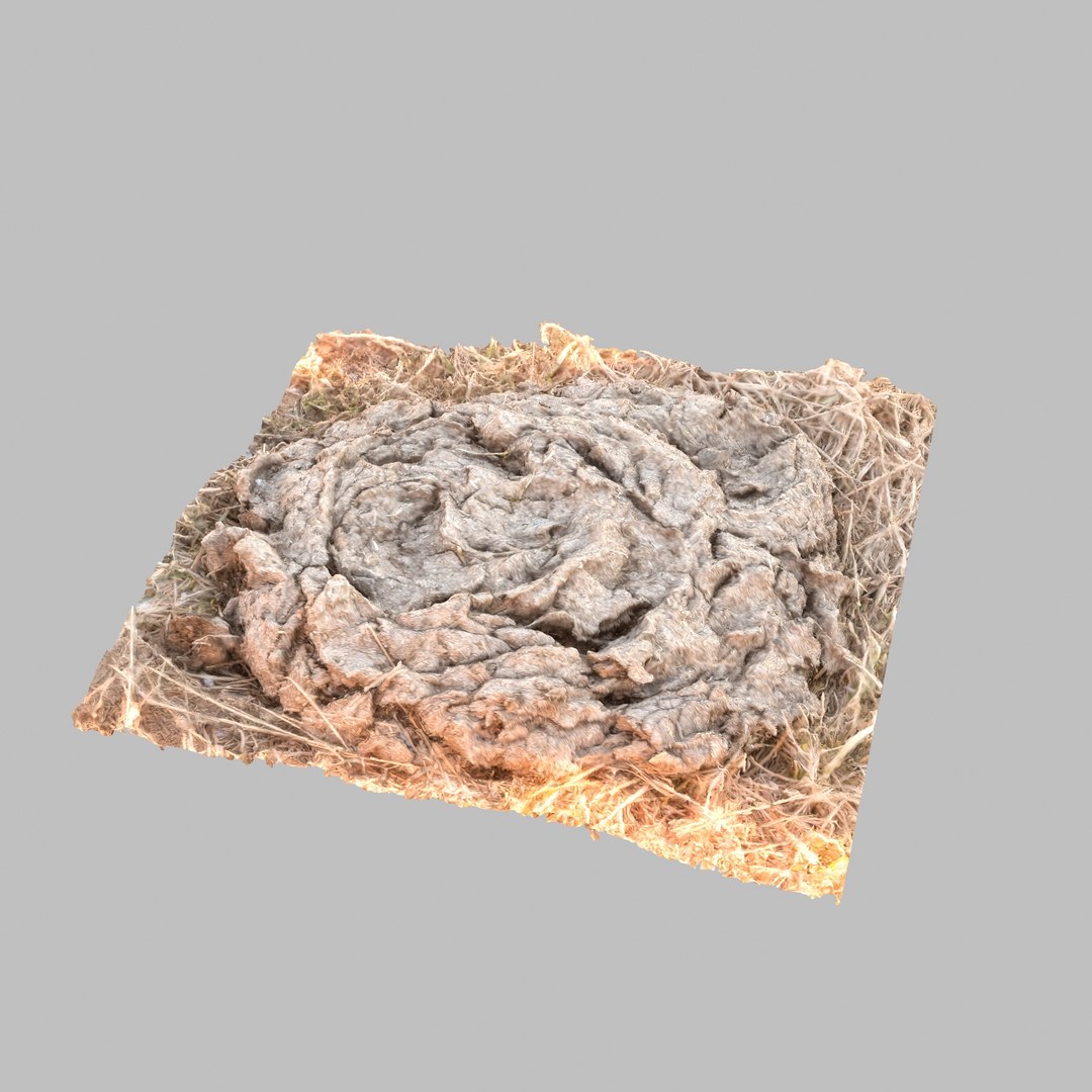 Poop Poo Cow 3D Model - TurboSquid 1371739