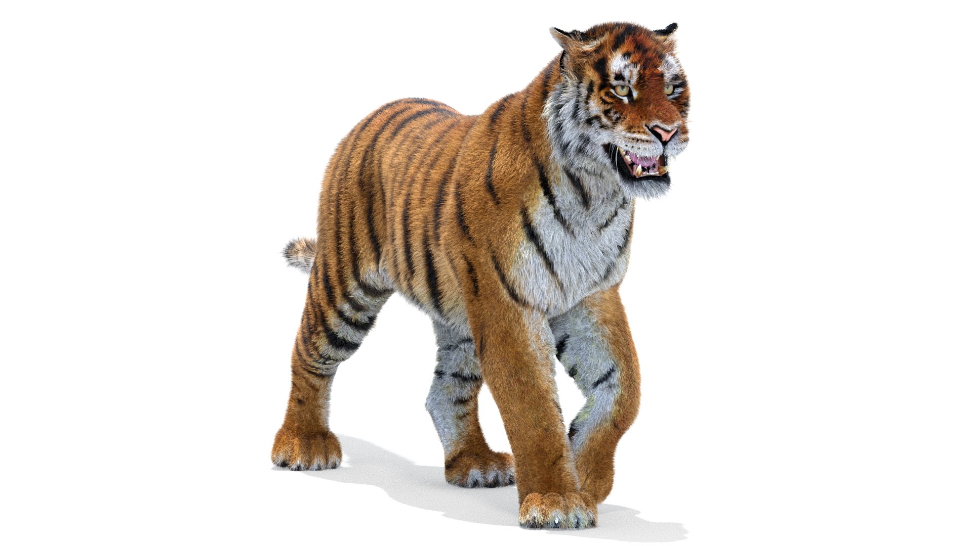 full hd tiger 3d