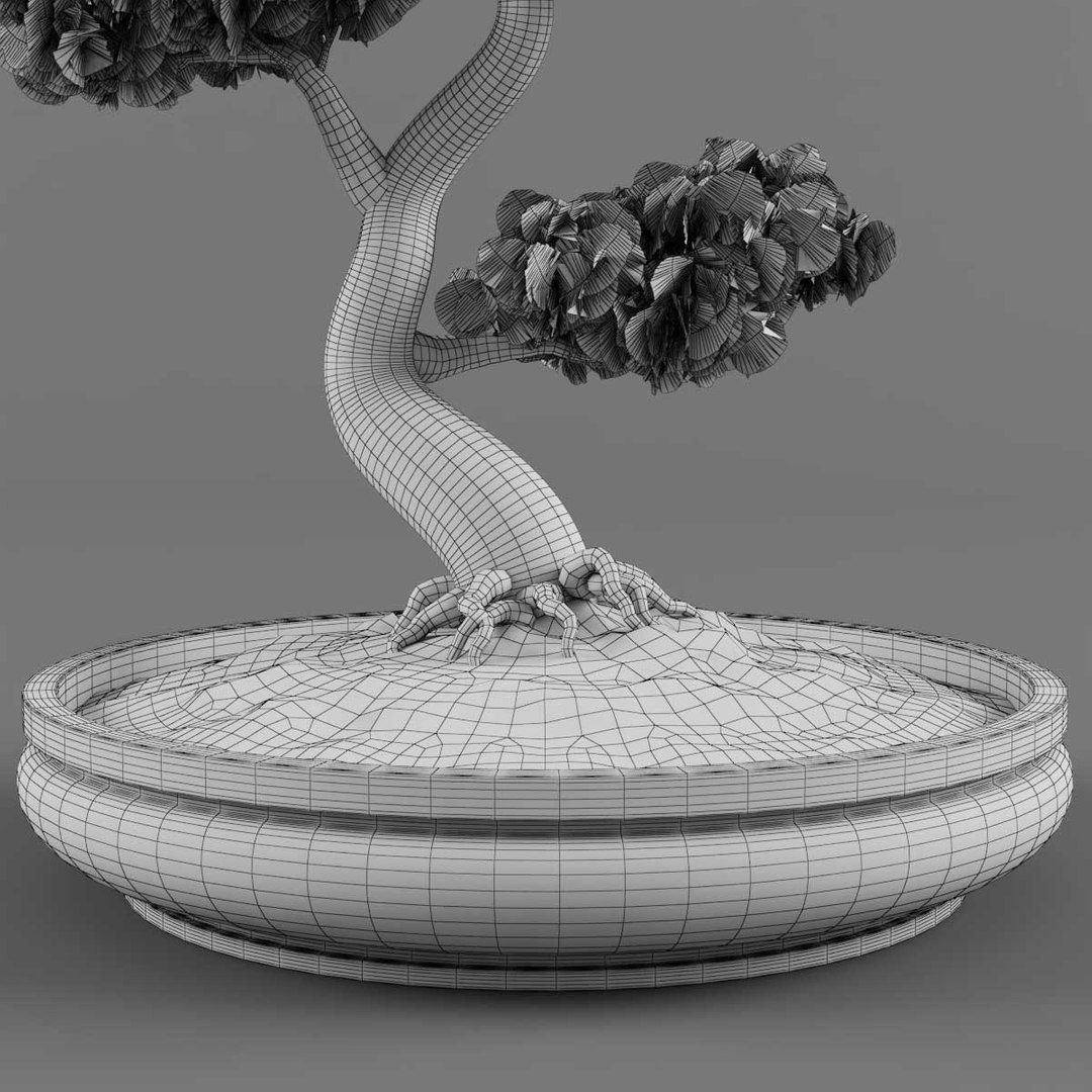 Bonsai Decorative Tree 3D Model - TurboSquid 1547729