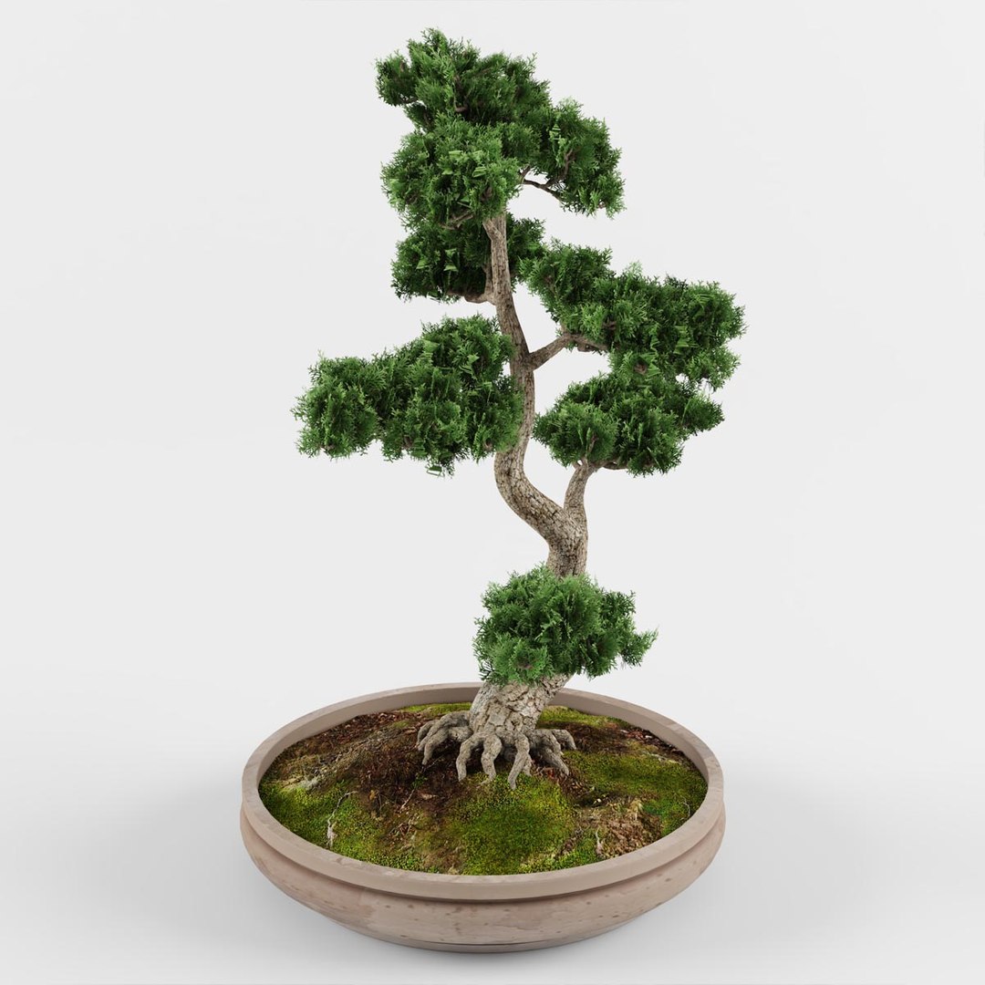 Bonsai Decorative Tree 3D Model - TurboSquid 1547729