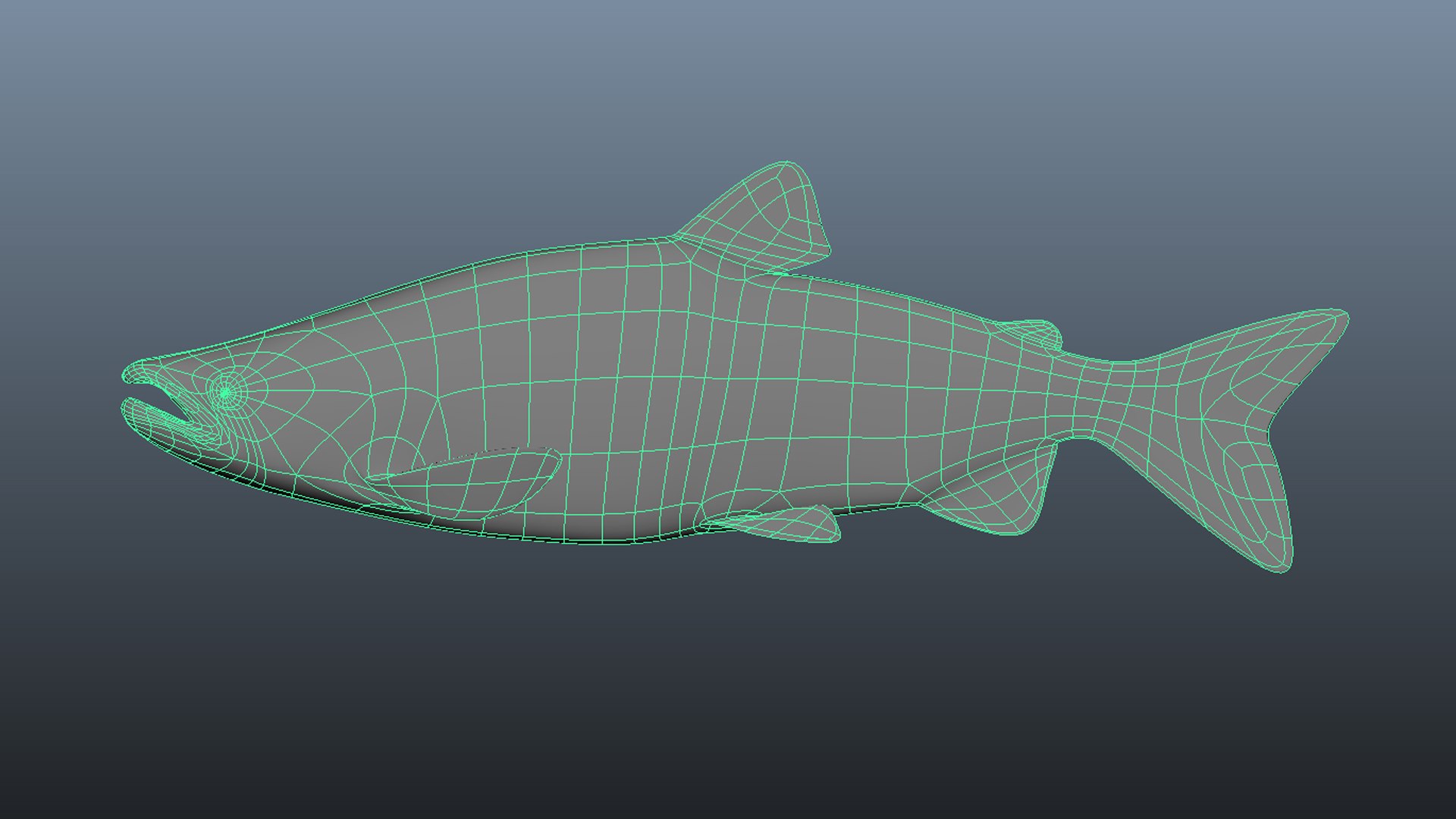 3D Salmon Collection Model - TurboSquid 1815772