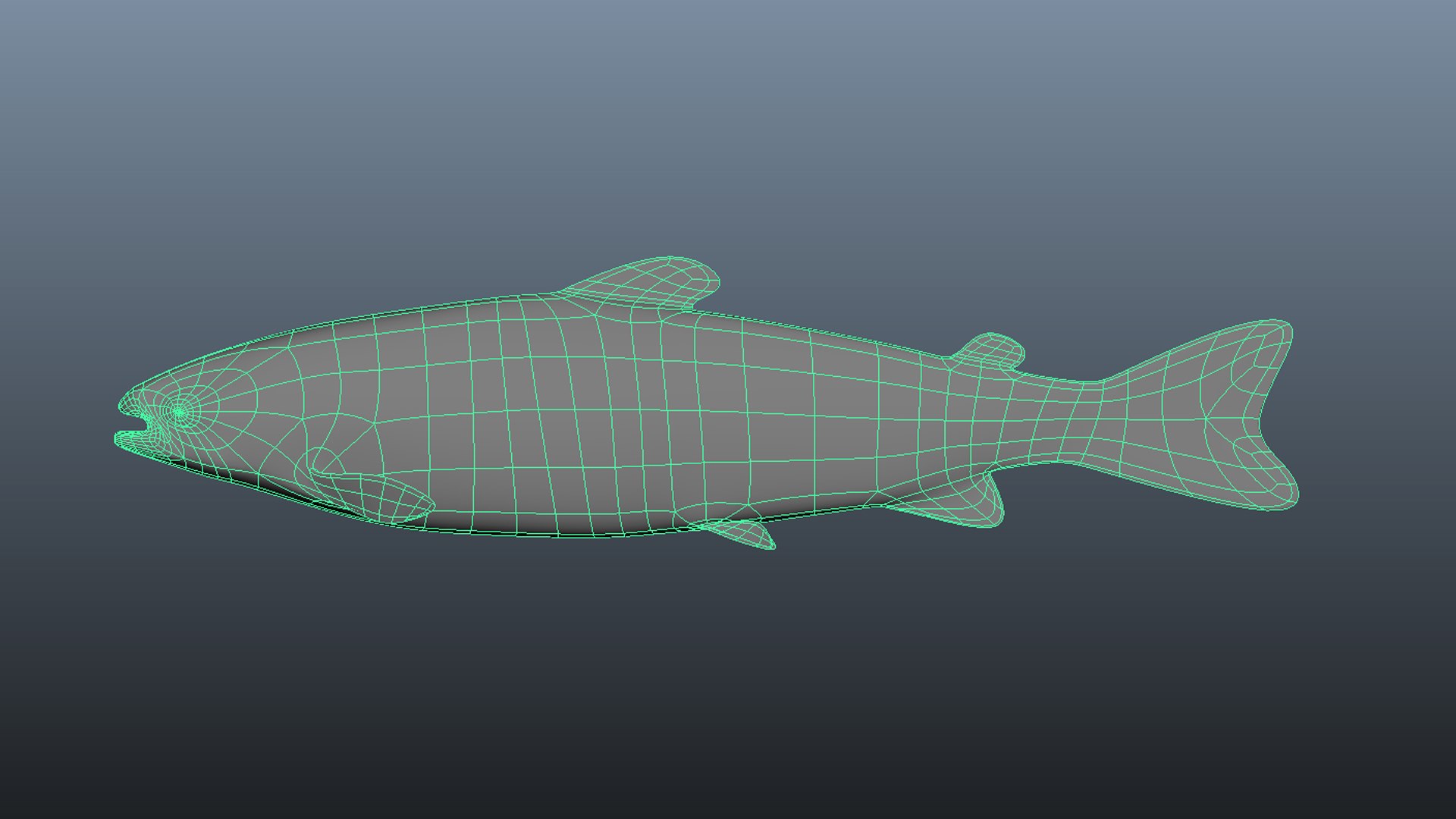 3D Salmon Collection Model - TurboSquid 1815772