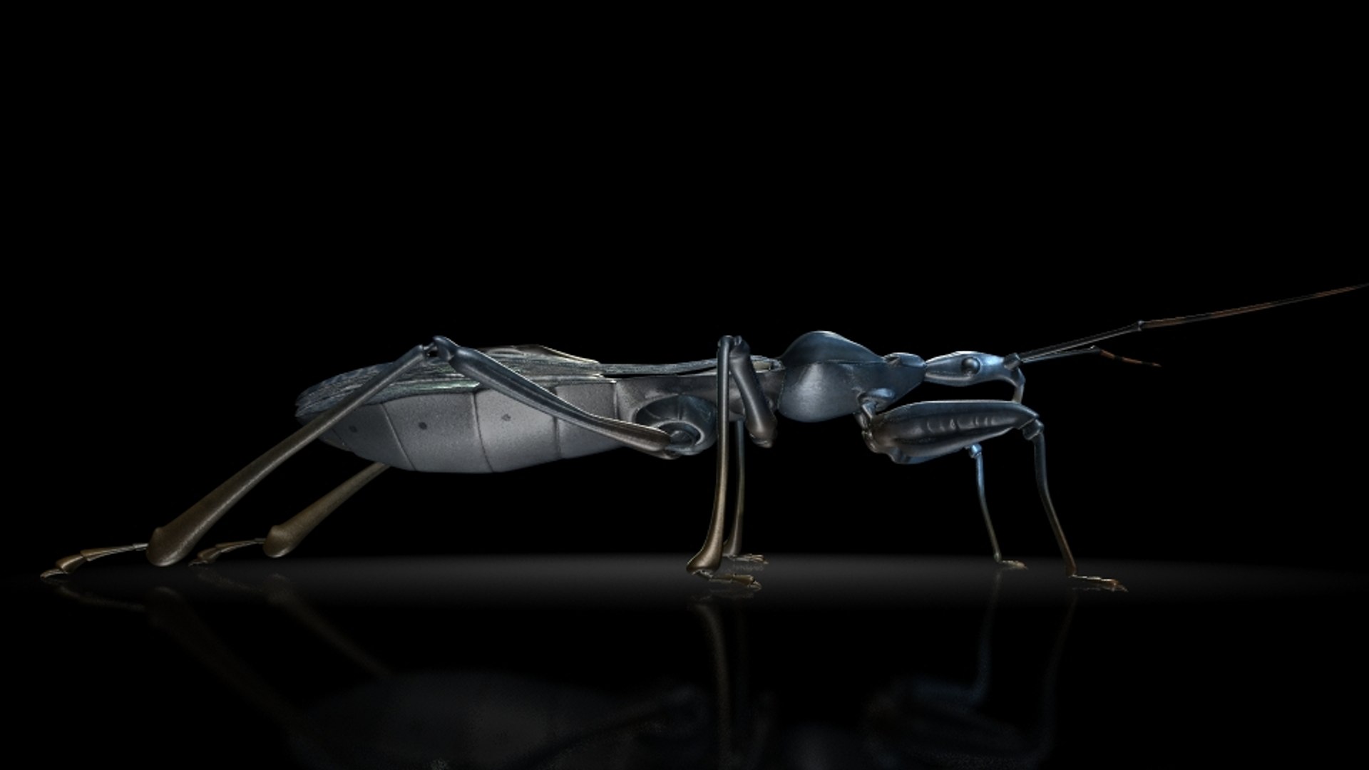 Bugs Kyi Insect 3D Model - TurboSquid 1318597