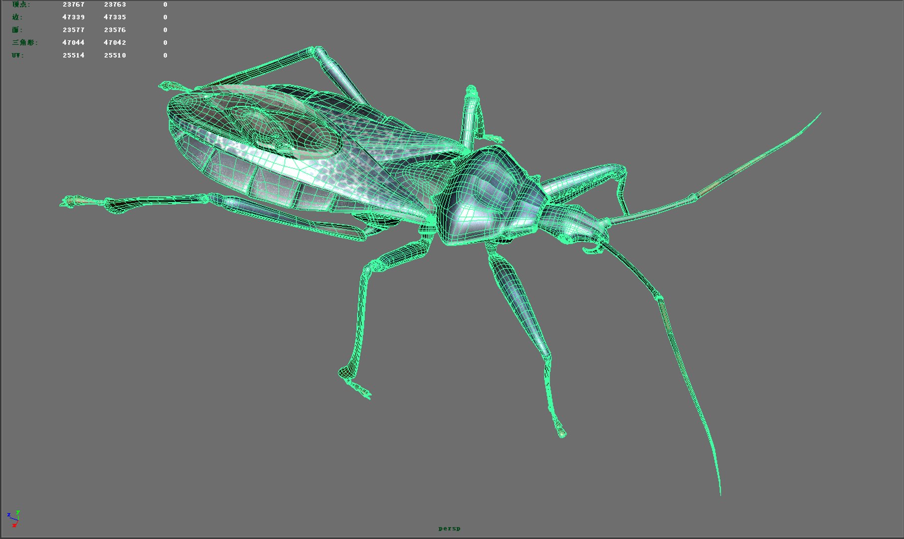 Bugs Kyi Insect 3D Model - TurboSquid 1318597