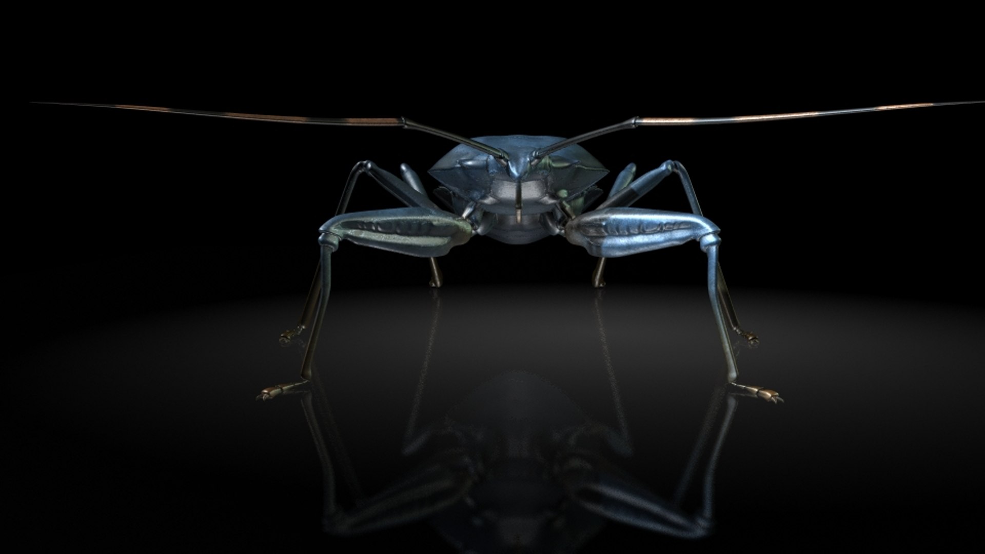 Bugs Kyi Insect 3D Model - TurboSquid 1318597