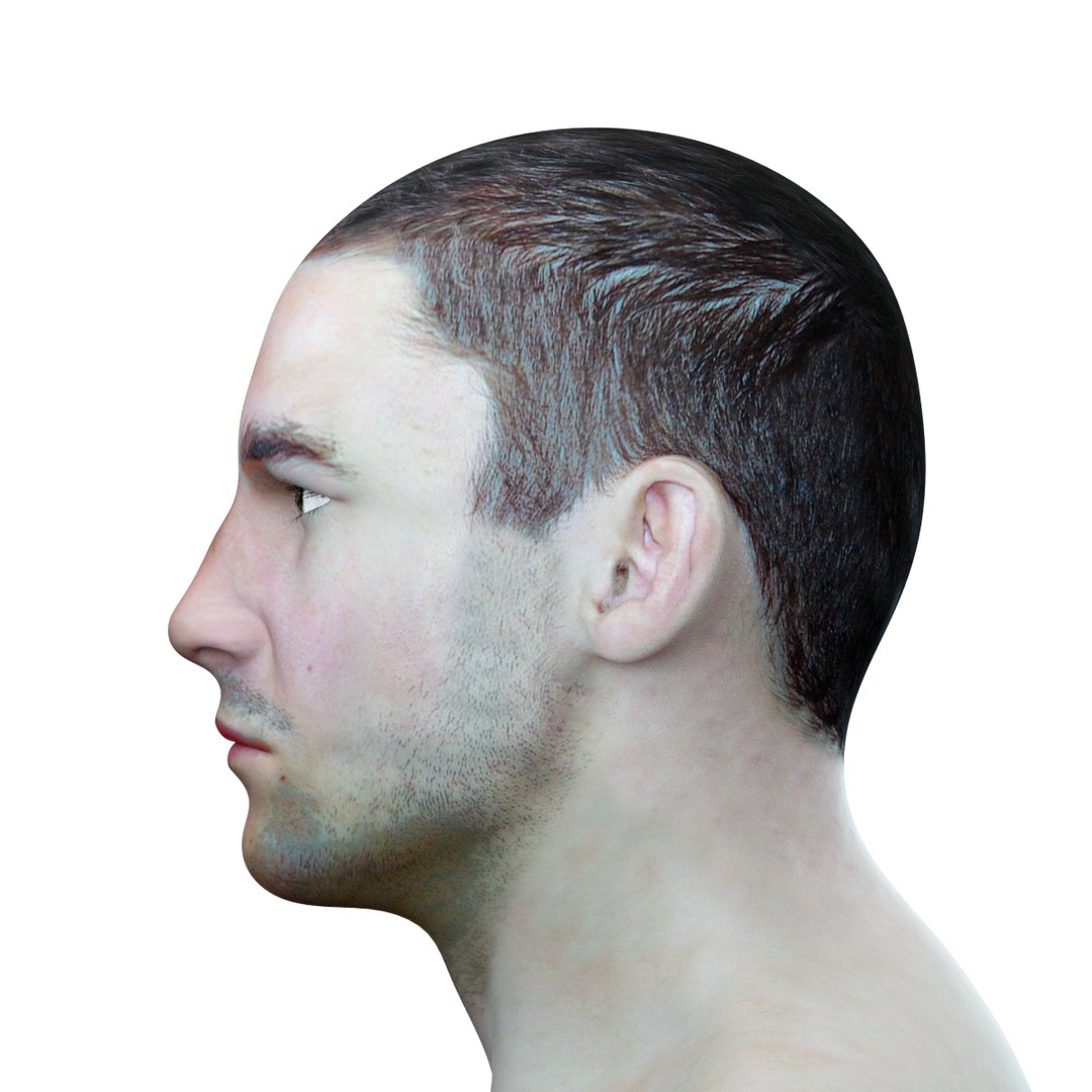 Male Head Rigged 3D - TurboSquid 1255213