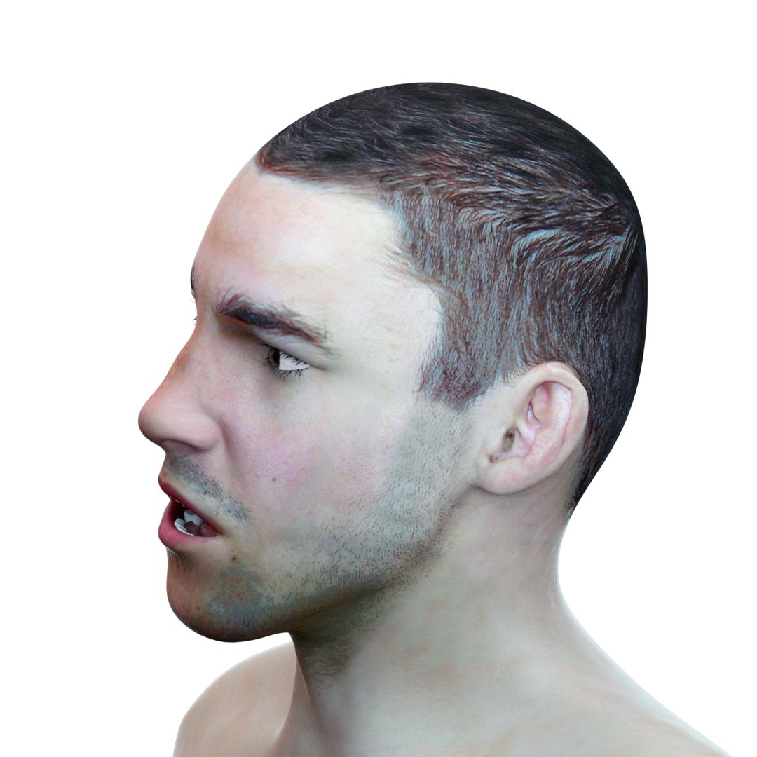 Male Head Rigged 3D - TurboSquid 1255213