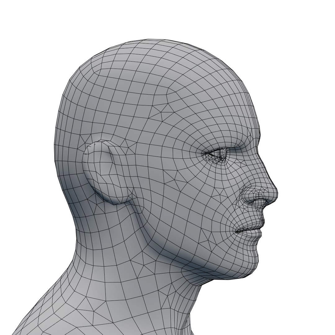 Male Head Rigged 3D - TurboSquid 1255213