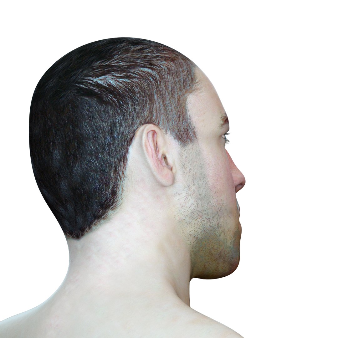 Male Head Rigged 3D - TurboSquid 1255213
