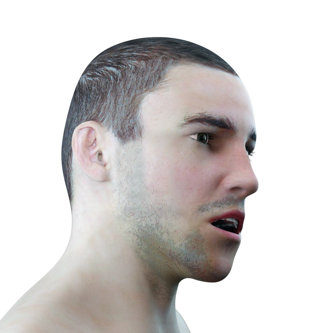 Male Head Rigged 3D - TurboSquid 1255213