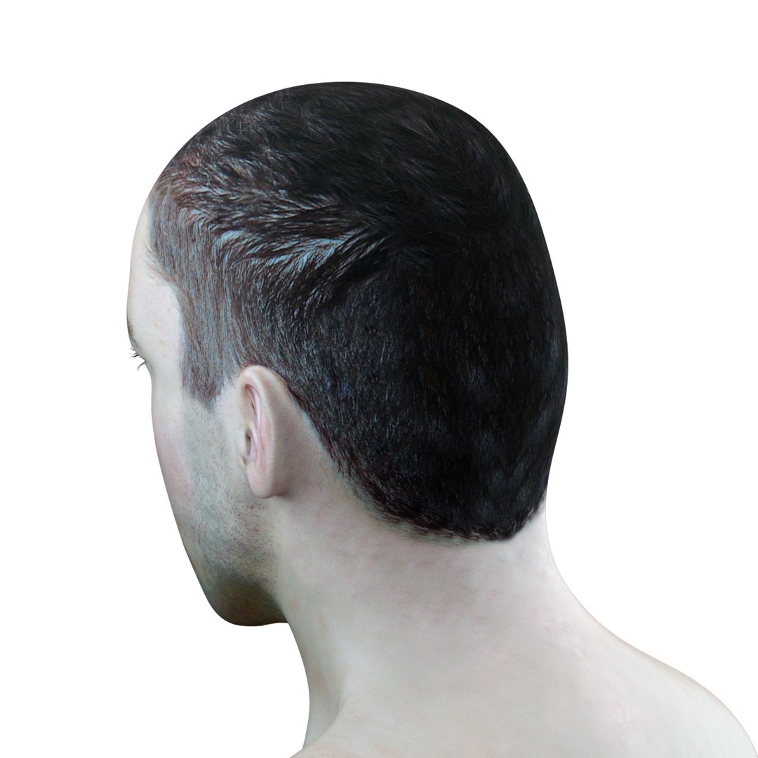 Male Head Rigged 3D - TurboSquid 1255213