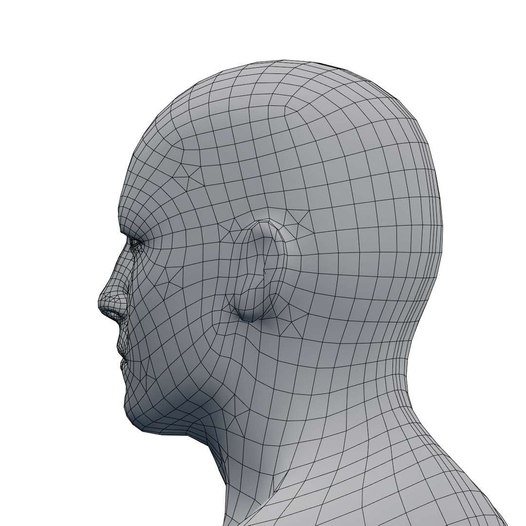 Male Head Rigged 3D - TurboSquid 1255213