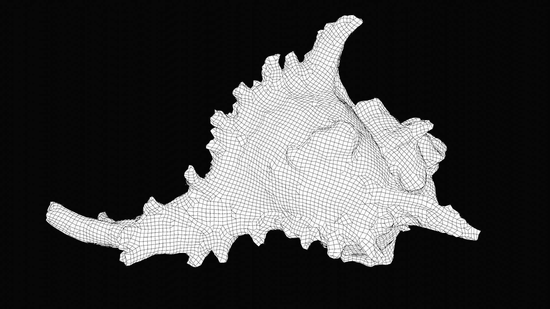 Murex Sea Shell Model - TurboSquid 1627517