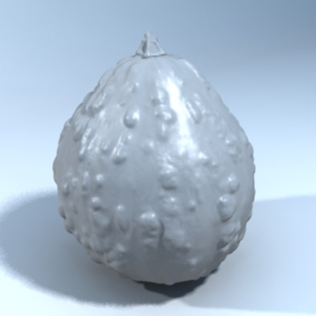 Gourd Scan 3d Model
