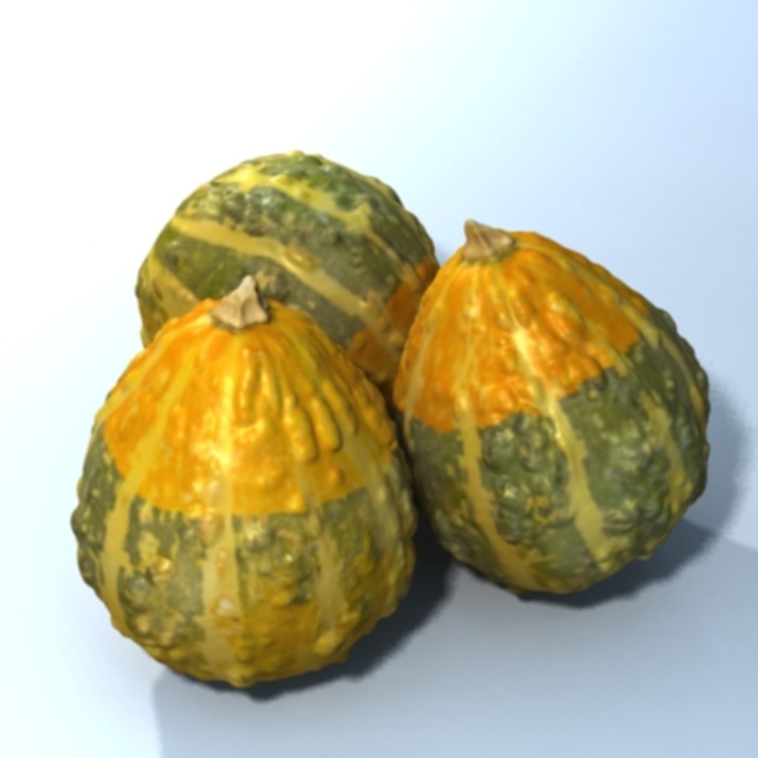 Gourd Scan 3d Model